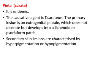 SPIROCHETEs AND THE INFECTION OF YHE HUMAN | PPT
