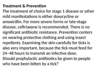 spirochetes microbiology lecture in medical.pptx