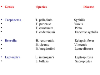 Spirochetes its morphology, identification (1).ppt