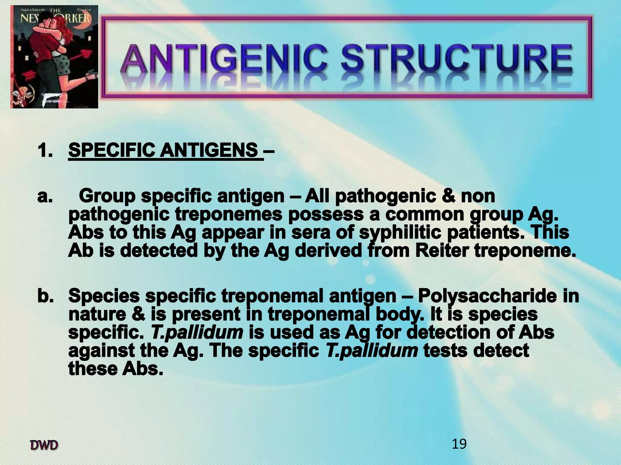 Spirochetes (treponema pallidum 1) | PPTX