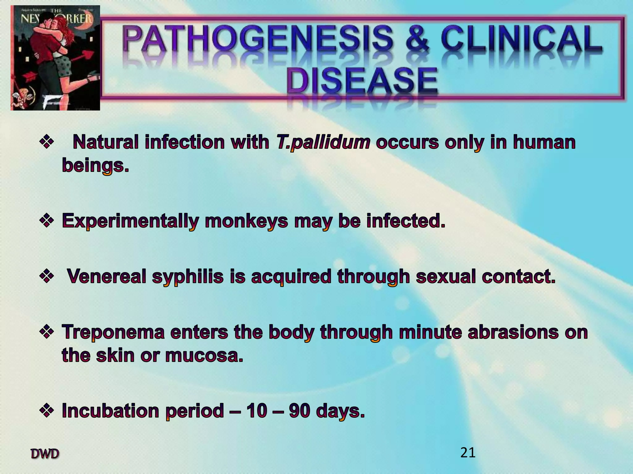 Spirochetes (treponema pallidum 1) | PPTX