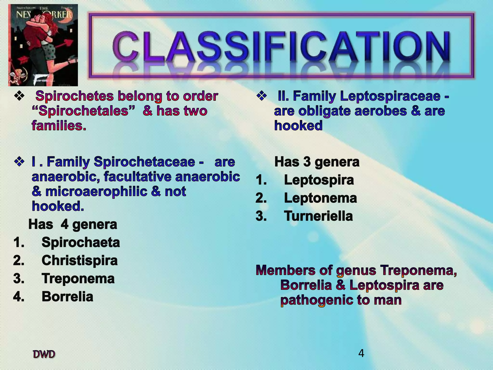 Spirochetes (treponema pallidum 1) | PPTX
