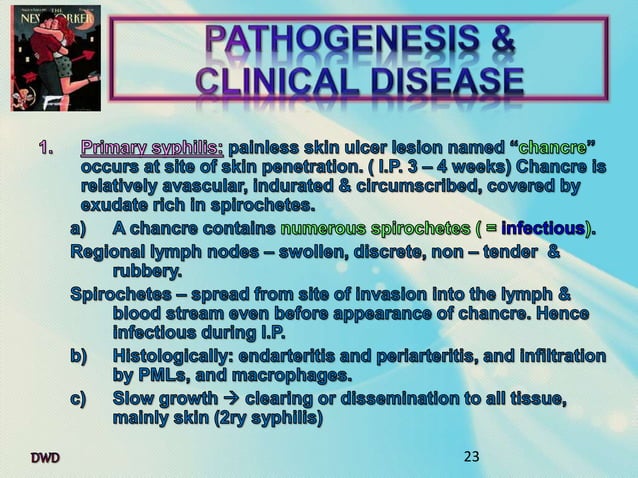 Spirochetes (treponema pallidum 1) | PPTX
