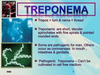 Spirochetes (treponema pallidum 1) | PPTX
