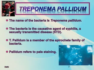 Spirochetes (treponema pallidum 1) | PPTX