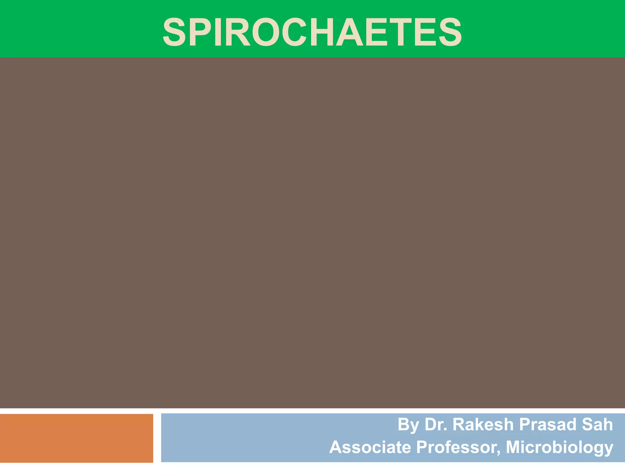 Spirochete (Treponema and Borrelia) | PPTX
