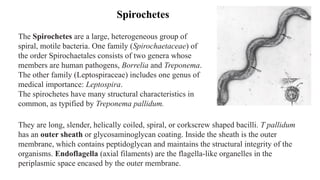 Spirochete_Treponema and Corynebacterium dyptheriae.pptx