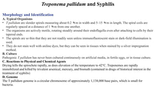 Spirochete_Treponema and Corynebacterium dyptheriae.pptx