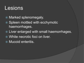 Spirochetosis | PPTX