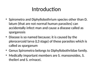 Spirometra species ( medical parasitology) | PPTX