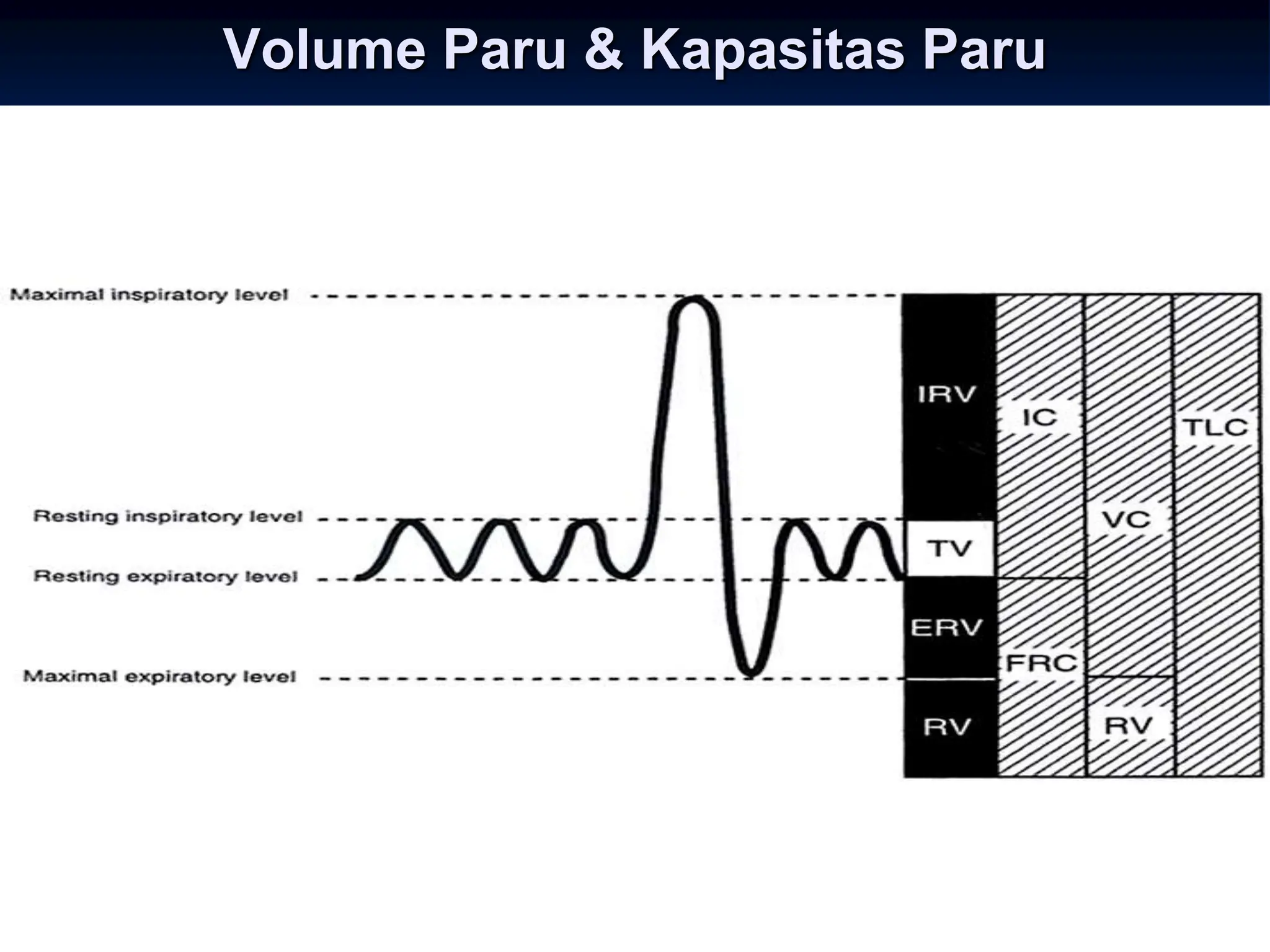 Pemeriksaan Spirometri untuk Kedokteran Penyakit Dalam | PPT