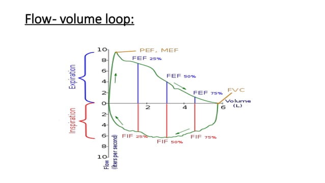 Spirometric parameters and dead space, alveolar ventilation.pptx