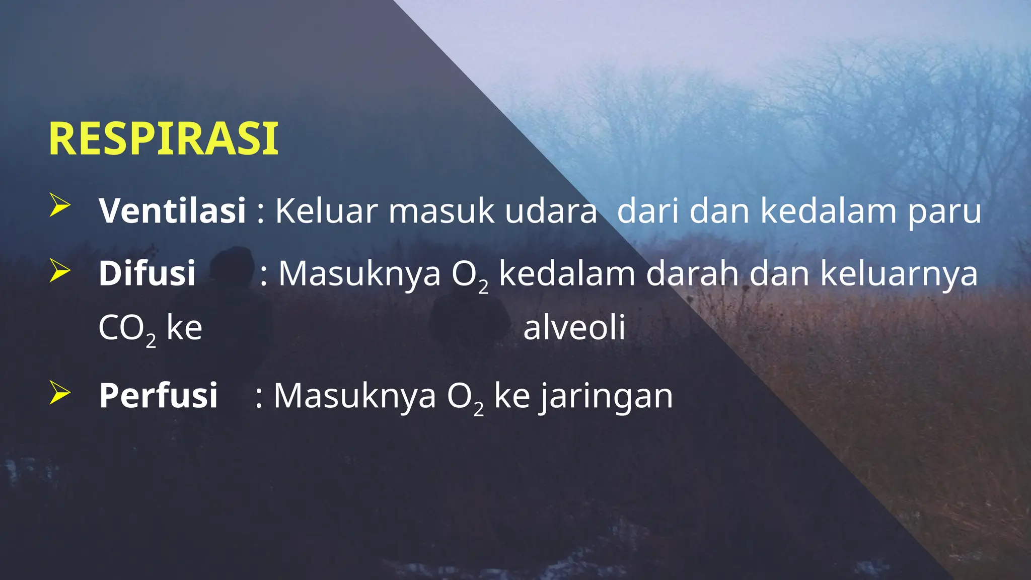 Definisi, Manfaat, Cara Kerja dan Tata Cara Penggunaan Spirometri evi.pptx