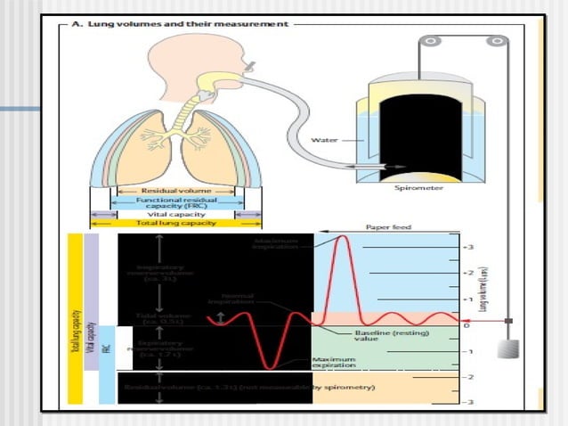 Spirometry | PPT