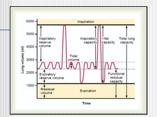 Spirometry | PPT