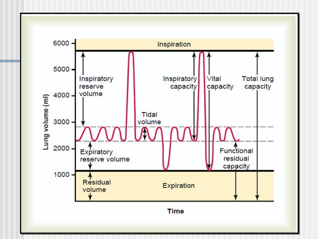 Spirometry | PPT