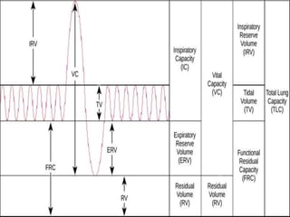 Spirometry | PPTX