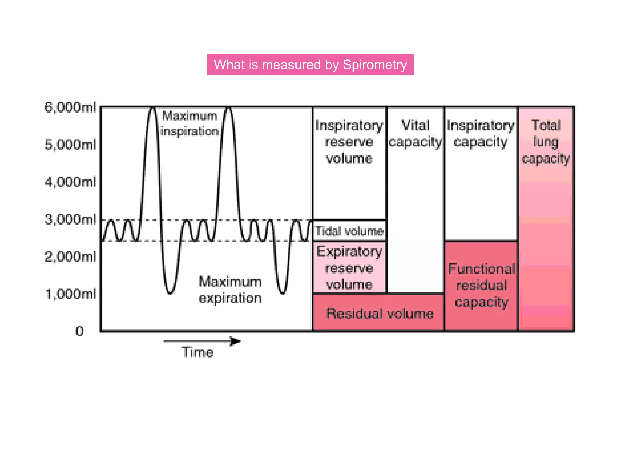 Spirometry | PPTX