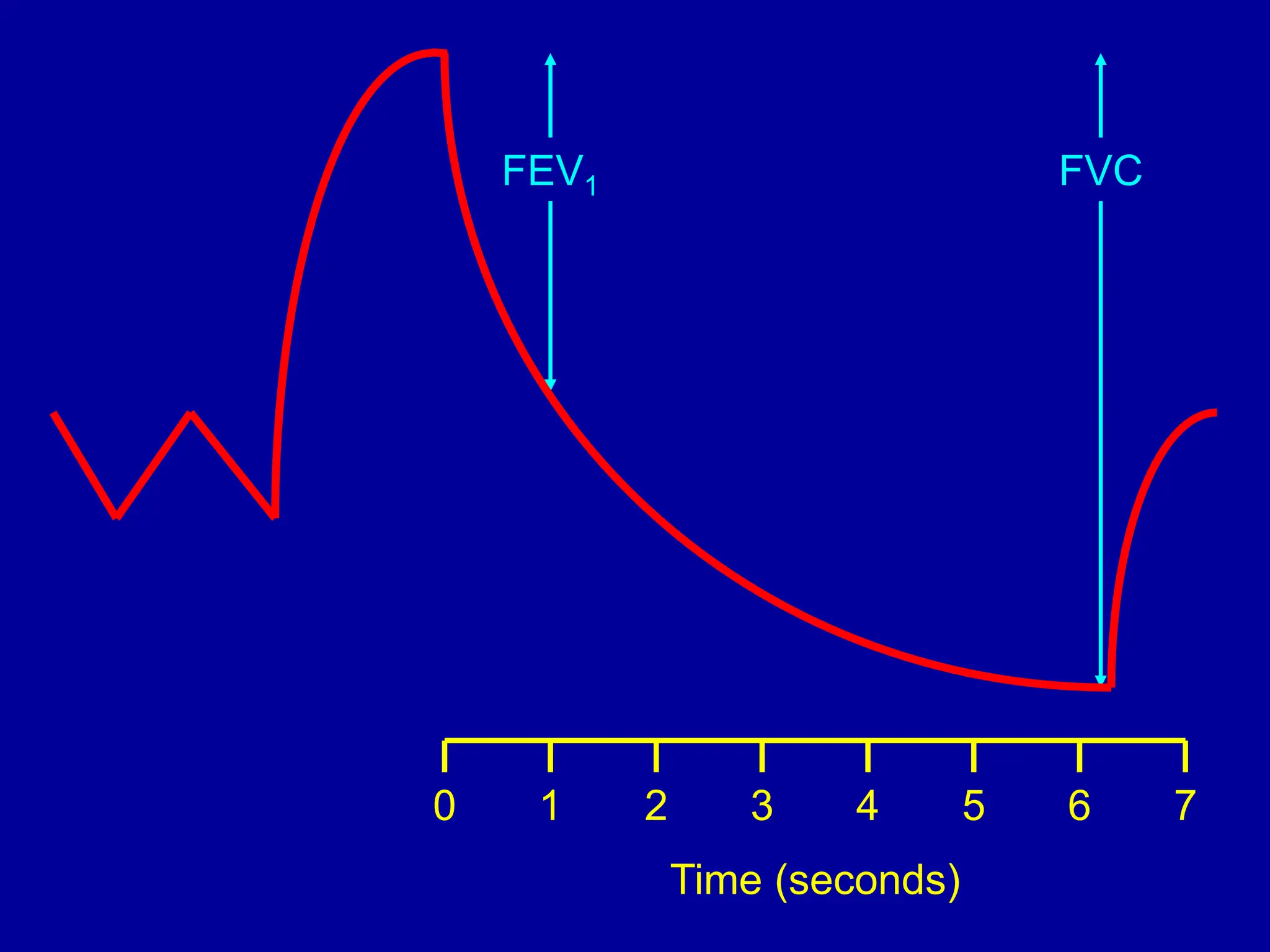Information About Spirometry | Jindal Chest Clinic | PPT