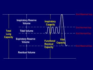 Spirometry in practice | PPT