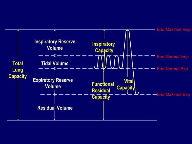 Spirometry in practice | PPT
