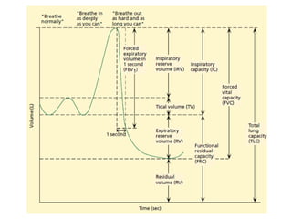 Spirometry in practice | PPT