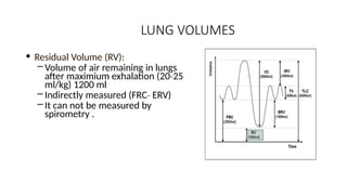 Spirometry ppt.pptx lung function test ppt | PPTX