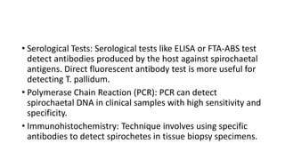 spiros.pptx presentation with treponemas | PPTX