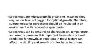 spiros.pptx presentation with treponemas | PPTX