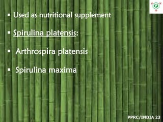 Spirulina | PDF
