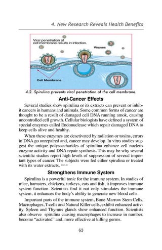 Spirulina world food | PDF