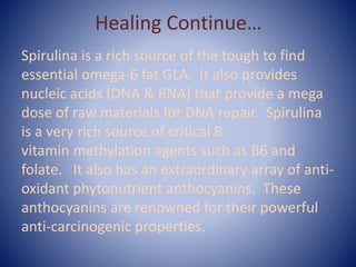 Spirulina 10 pond | PPSX