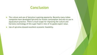 Spirulina as a feed for the shellfish larvae | PPTX