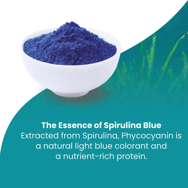 Spirulina Blue: Your Natural Color Solution - Vinayak Corporation | PDF