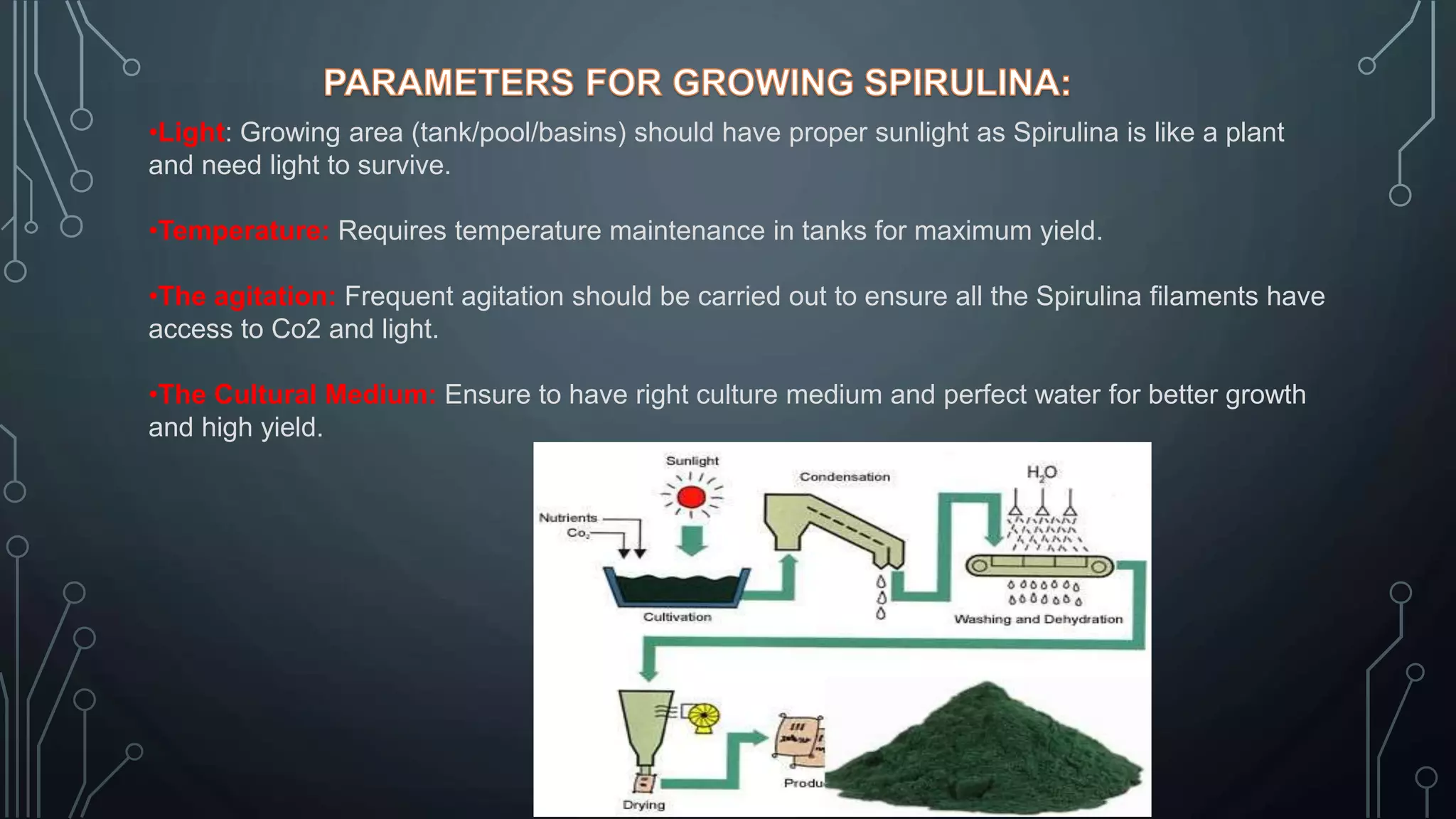 Spirulina cultivation | PPTX