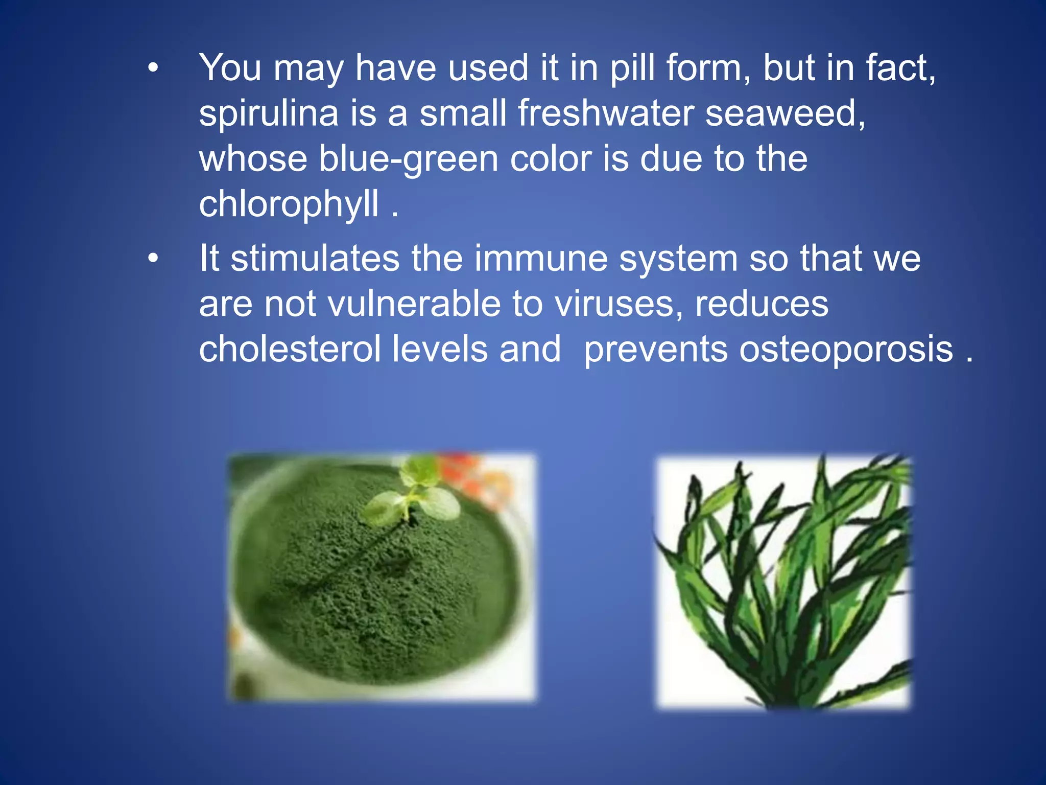 Spirulina of Serres | PPTX