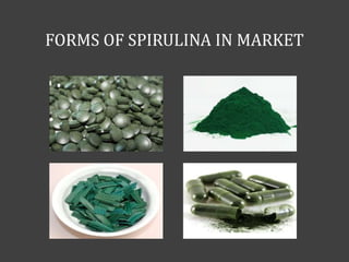 Spirulina ppt | PPTX