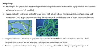 Spirulina production.pptx