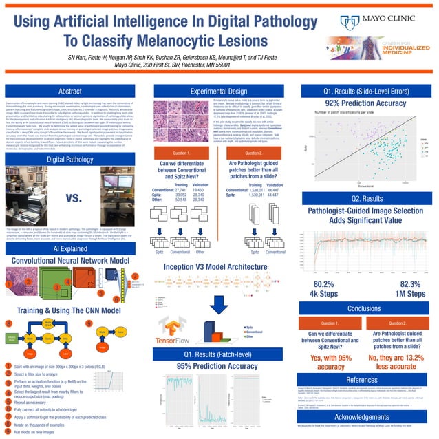 Spitz vs conventional | PDF
