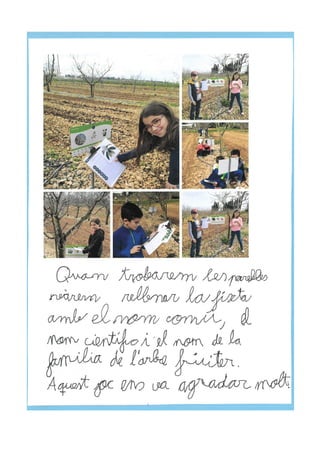 Reportatge Sa Canova | PDF
