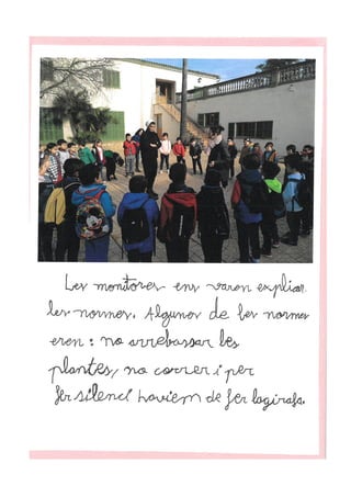 Reportatge Sa Canova | PDF