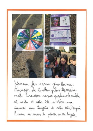 Reportatge Sa Canova | PDF