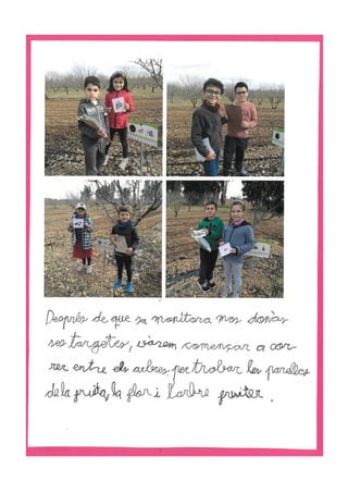 Reportatge Sa Canova | PDF