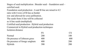 seed production sorghum.pptx