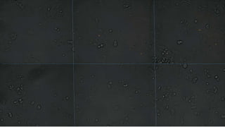 Automating the process of continuously prioritising data, updating and deploying AI models in a ...