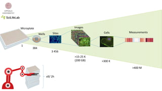 Automating cell-based screening with open source, robotics and AI | PPT