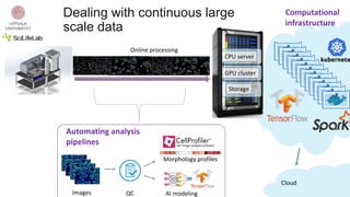 Automating cell-based screening with open source, robotics and AI | PPT