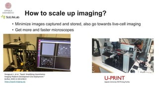 Automating cell-based screening with open source, robotics and AI | PPT