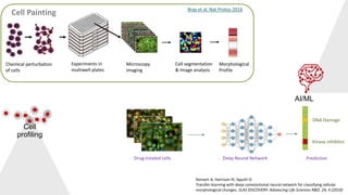 Automating cell-based screening with open source, robotics and AI | PPT