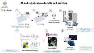 Automating cell-based screening with open source, robotics and AI | PPT
